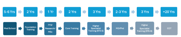 The Fast Track Pathway to CCT as UK Consultant: Parallel or Serial ...